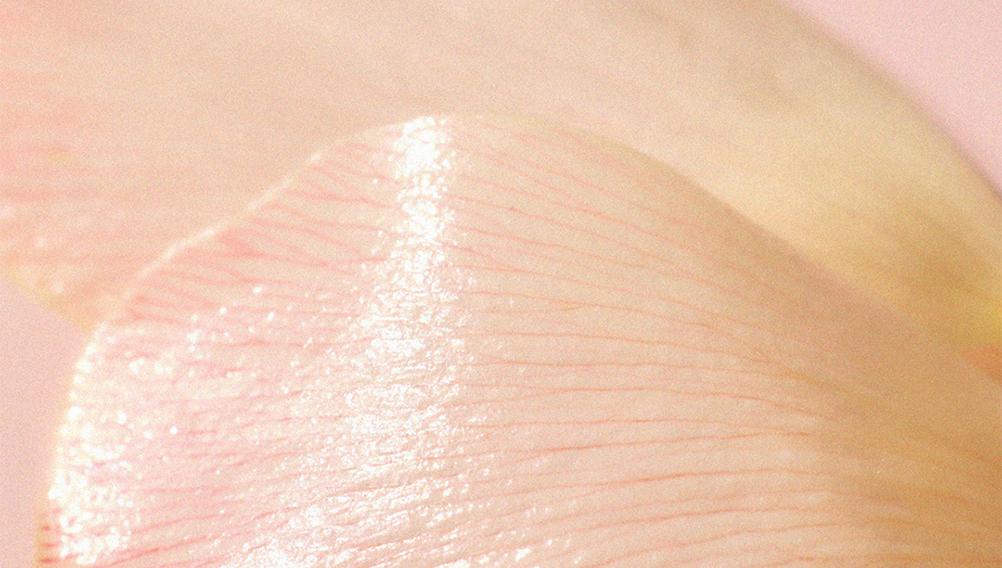 セット – GROWUS(JP)